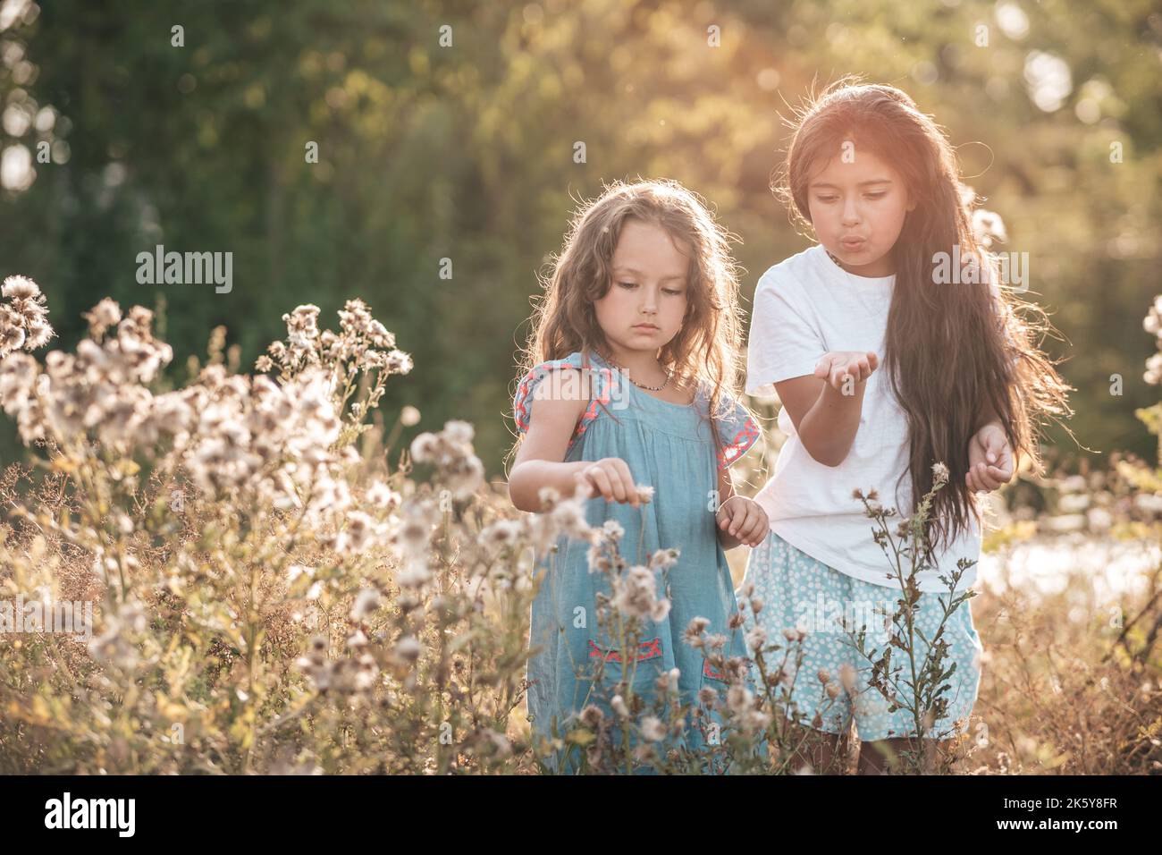 two girls in nature picking flowers in the setting sun portrait Stock ...