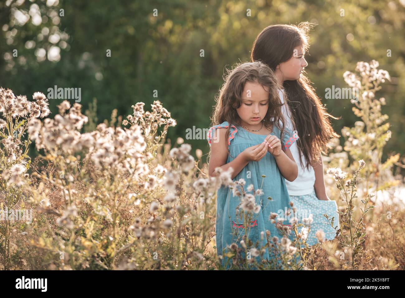 two girls in nature picking flowers in the setting sun portrait Stock ...