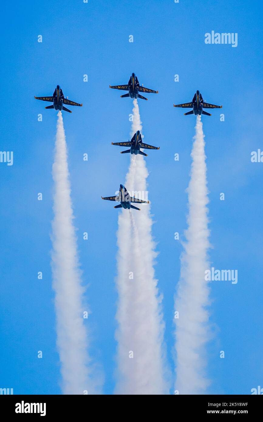 Fleet Week San Francisco - Blue Angeles - Toby Harriman Stock Photo - Alamy