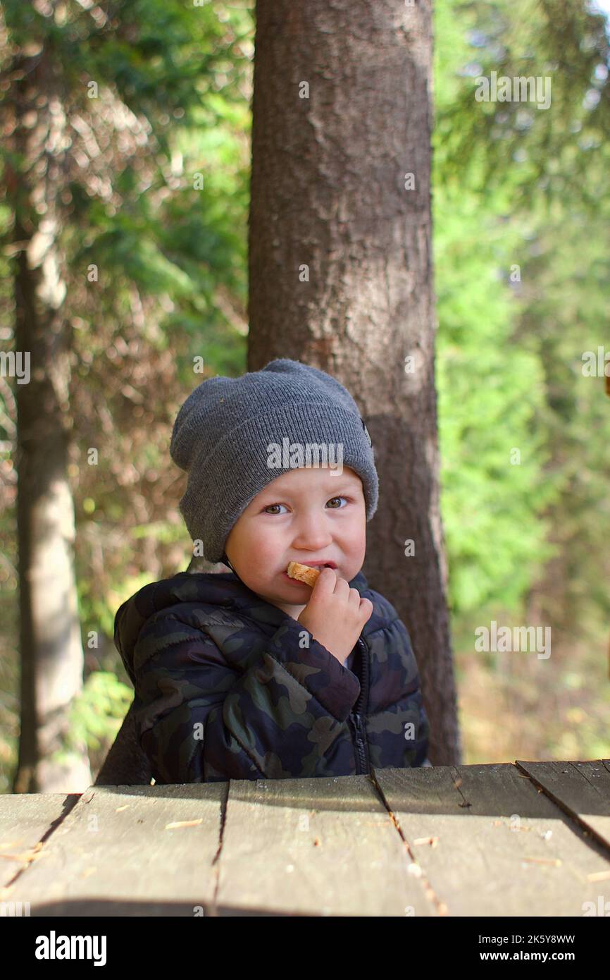 Perm forest hi-res stock photography and images - Alamy