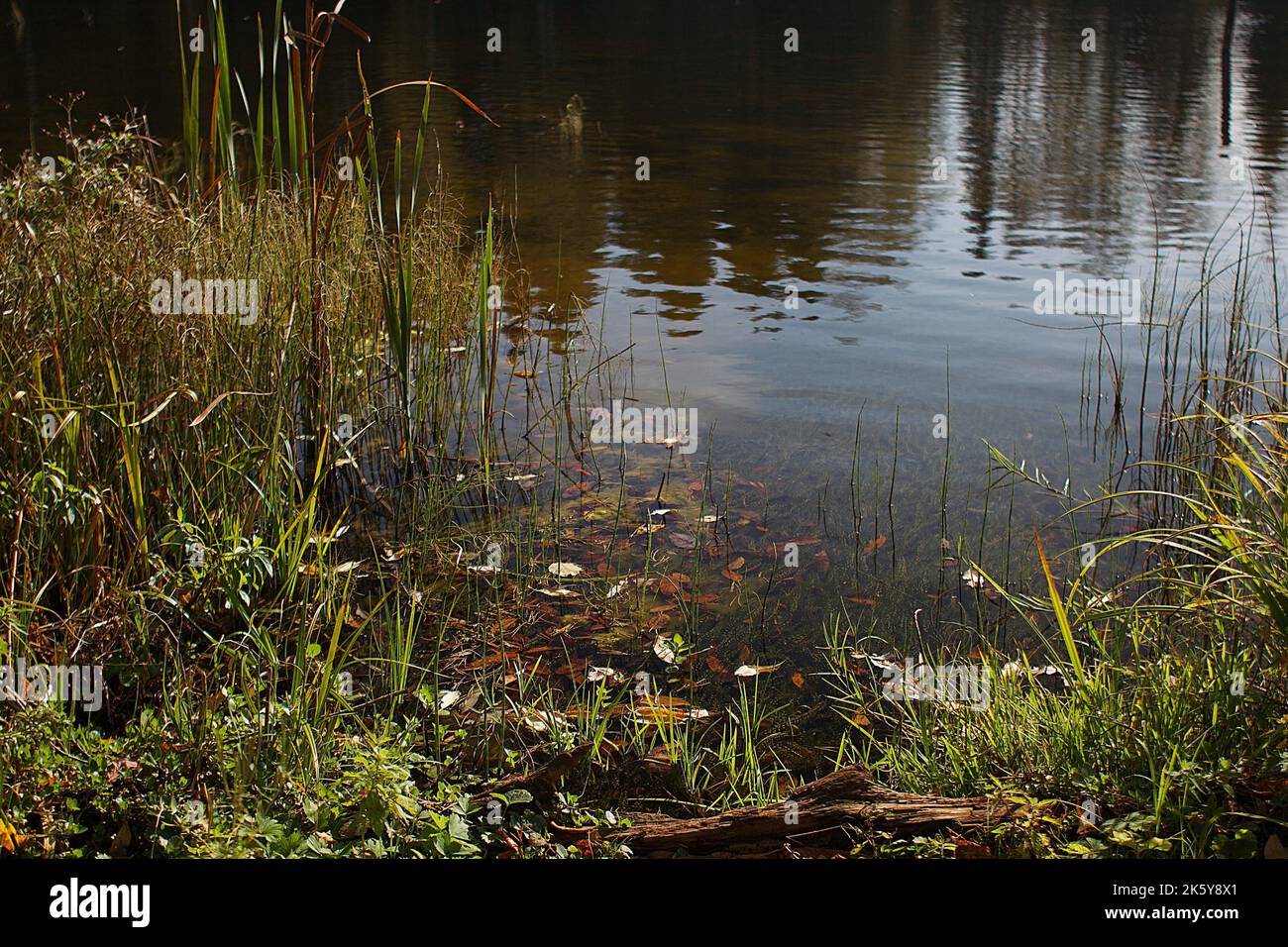 Waterside view hi-res stock photography and images - Alamy