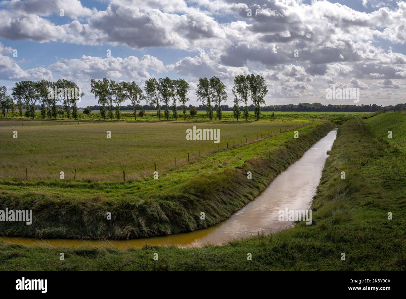 Landscape in the Fens, channel, field and trees on an autumn day ...