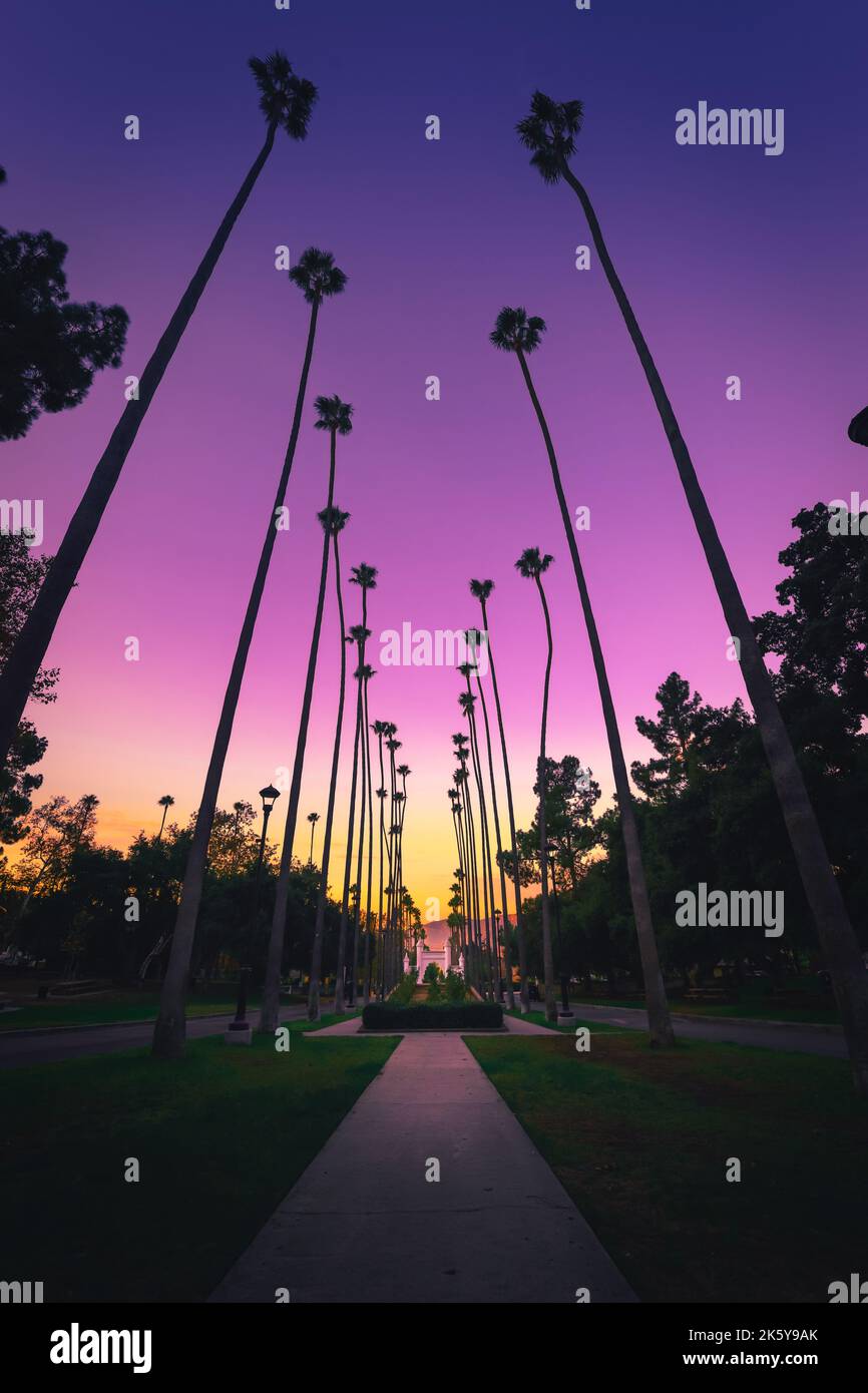 Southern california hi-res stock photography and images - Alamy