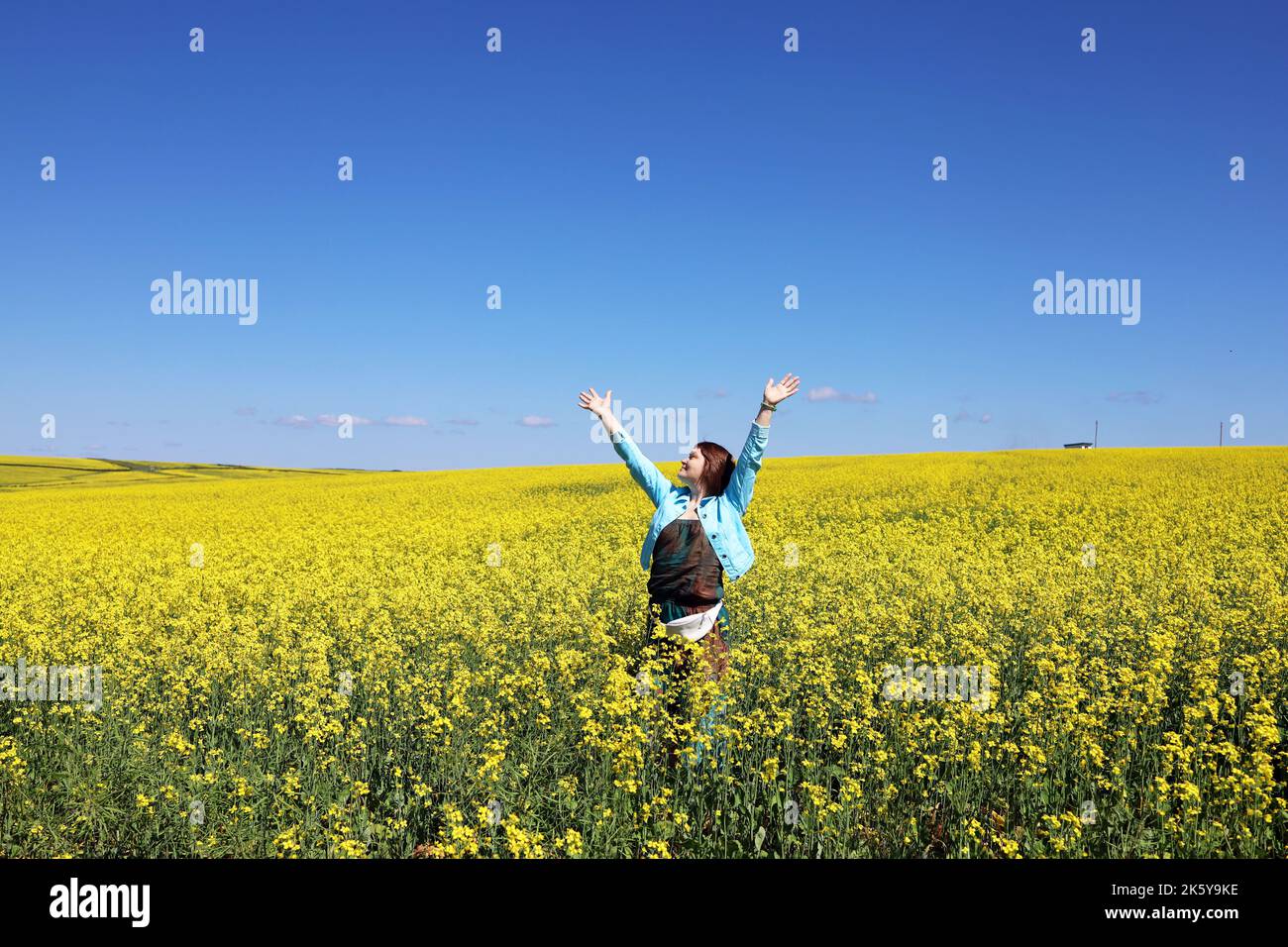 A woman with her hands raised to the blue sky stands Stock Photo - Alamy