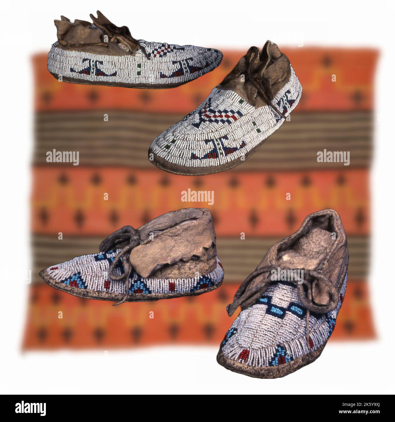 Native to texas Cut Out Stock Images & Pictures - Alamy