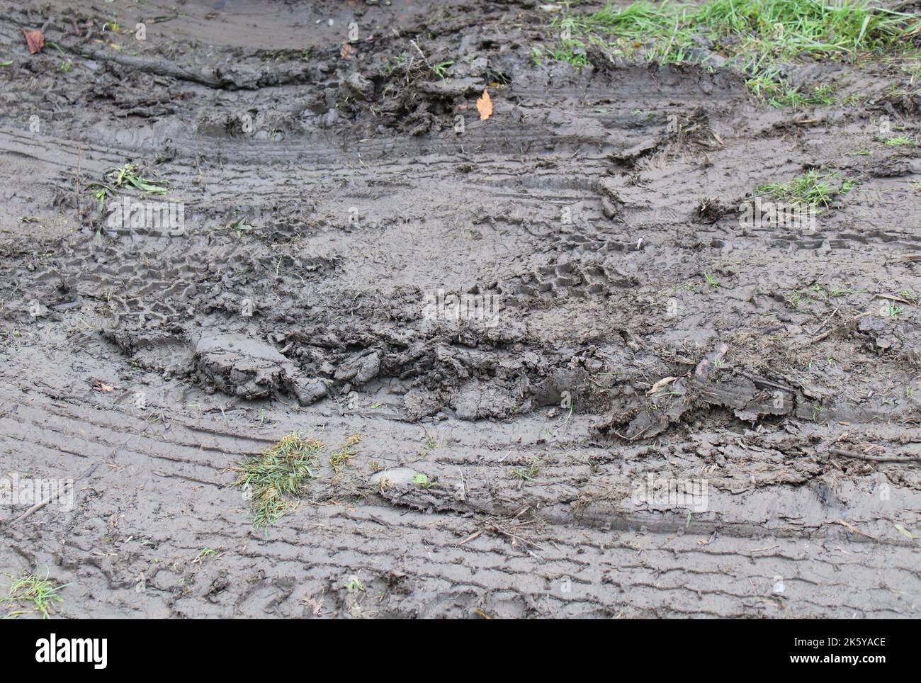 Tire Tracks in a Patch of Mud Stock Photo - Alamy