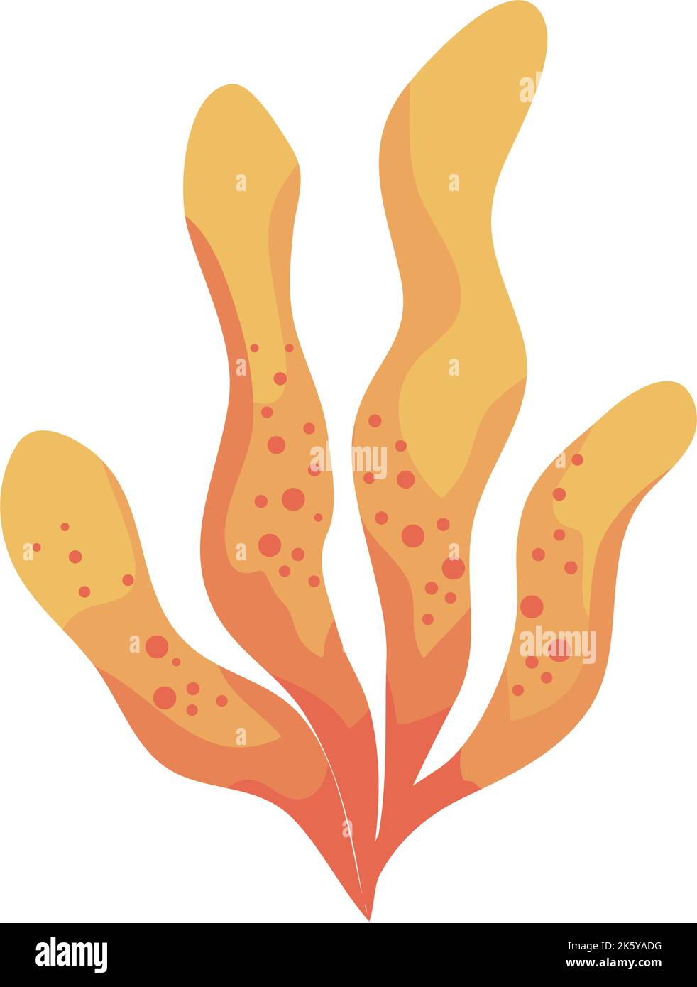 orange seaweed plant Stock Vector Image & Art - Alamy