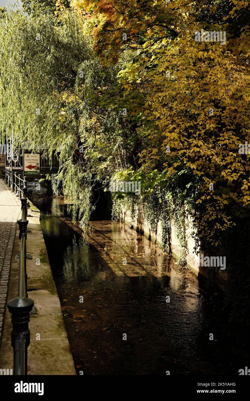 A vertical shot of autumn trees over river Gose Abzucht in Goslar ...