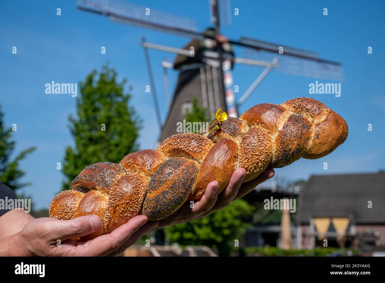 Fresh baked plaited bread with different seeds and grain wind mill on ...