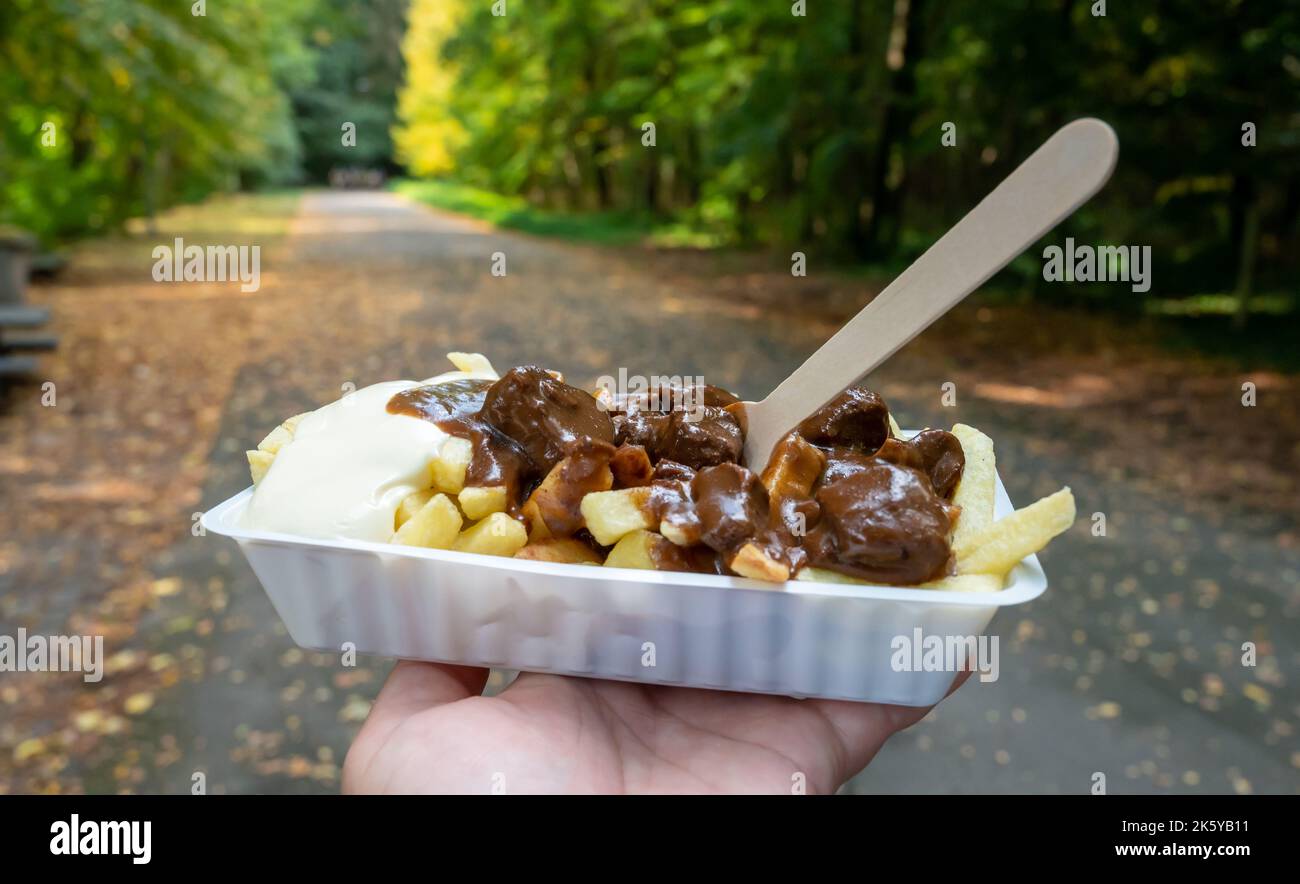 Traditional fast and street food in Belgium, French fried potatoes with ...