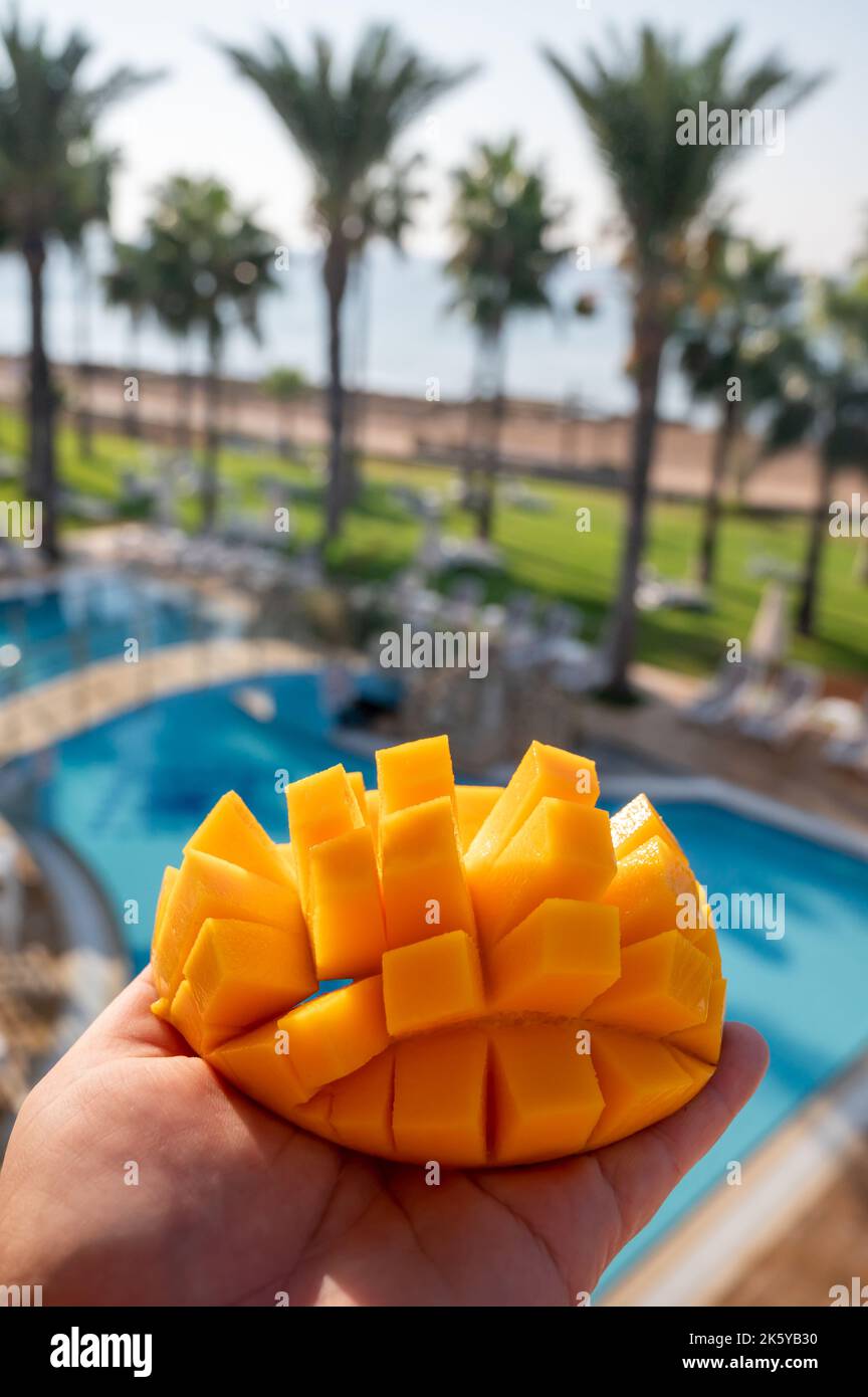 Fresh ripe sweet yellow mango tropical fruit served outdoor with view ...