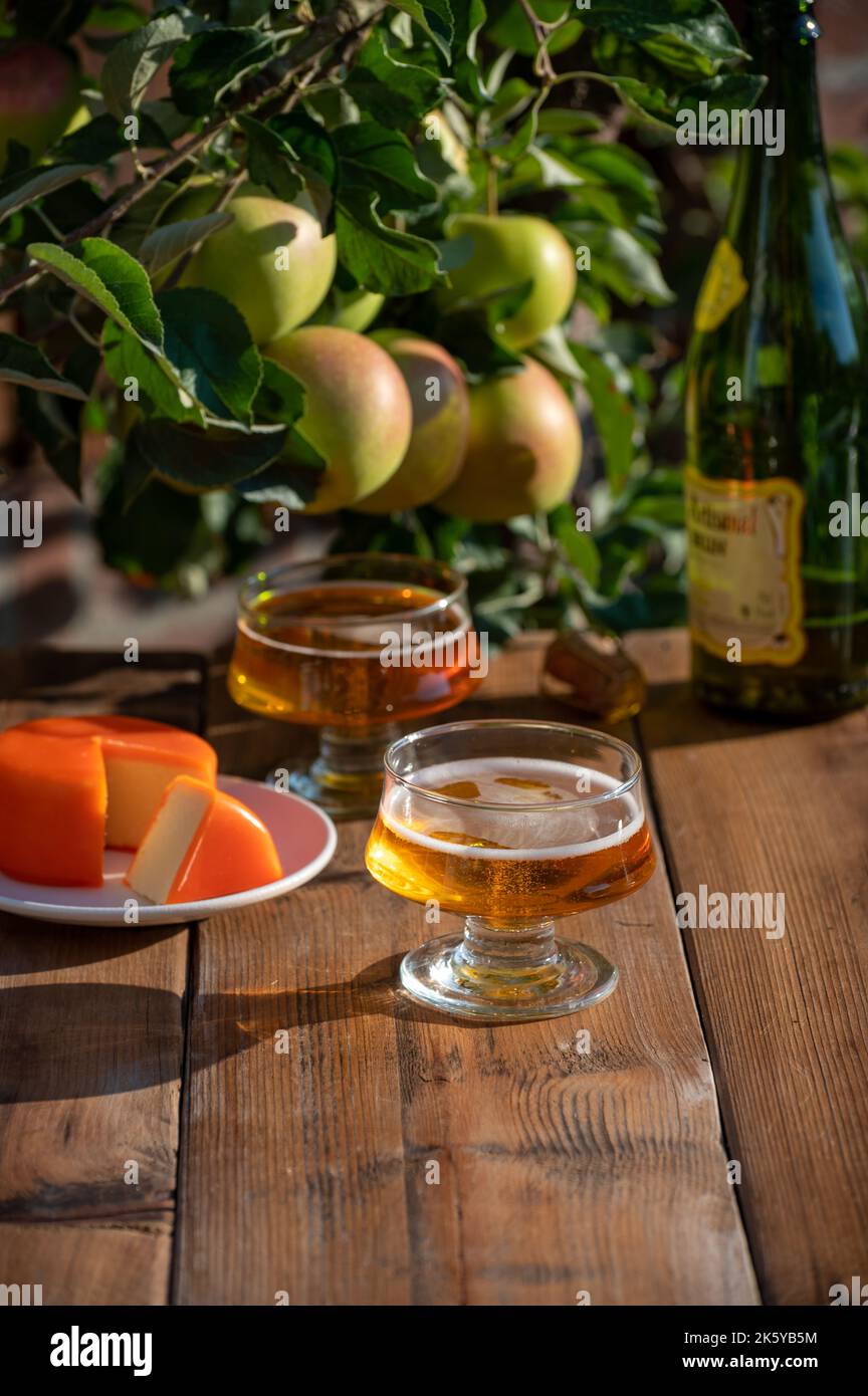 Food and drink pairing, apple cider in glasses produced on organic farm ...