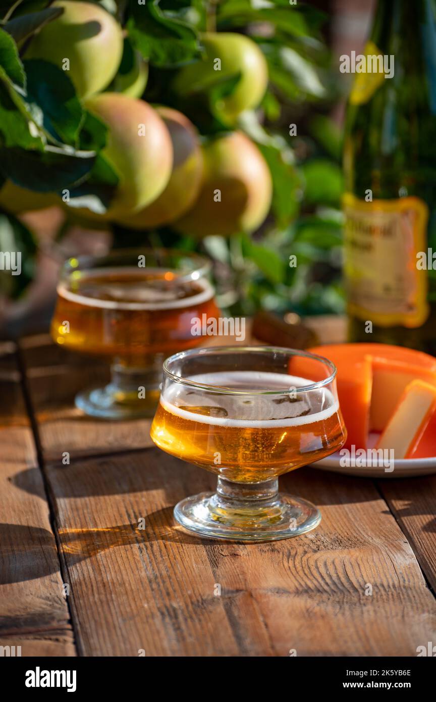 Food and drink pairing, apple cider in glasses produced on organic farm ...