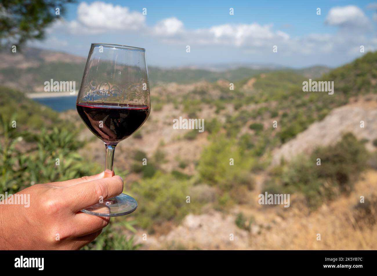 Tasting of red wine on vineyards of Cyprus. Wine production on Cyprus ...