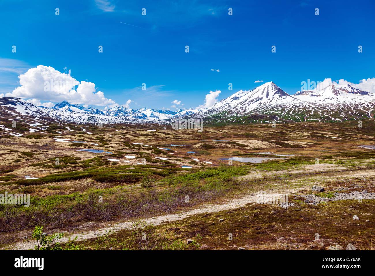 Panorama view west from Haines Highway towards Tatshenshini-Alsek ...