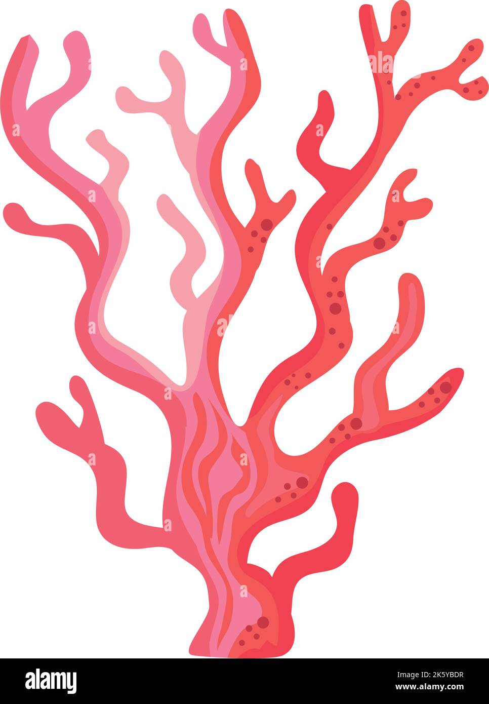 red seaweed plant Stock Vector Image & Art - Alamy
