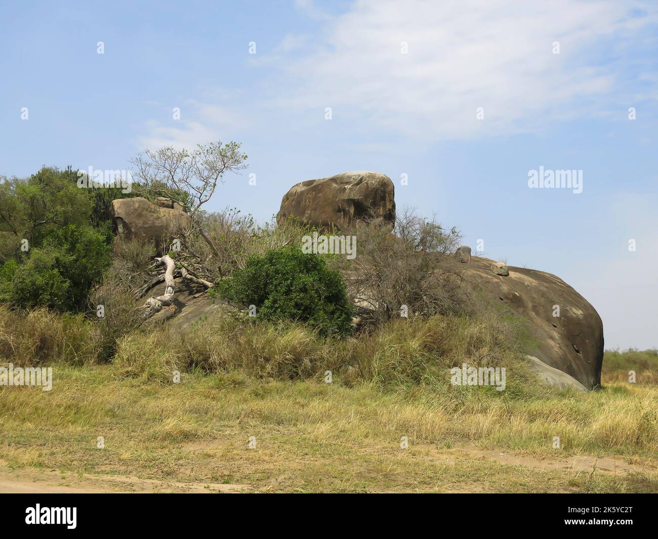 Kopje (Individual Rock Group) in the Serengeti National Park, Tanzania ...