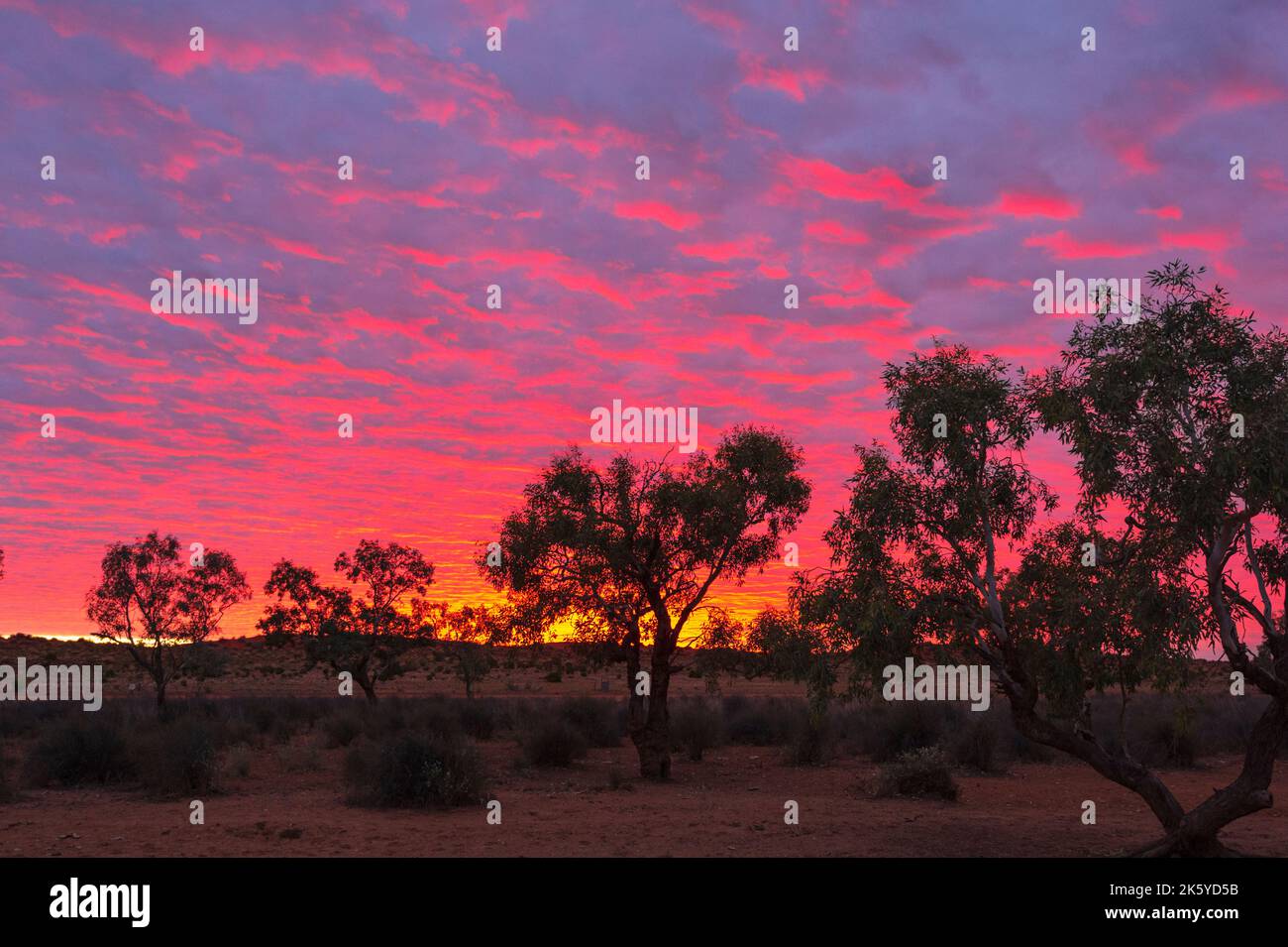 Fiery sky at sunrise in the Australian Outback, Northern Territory, NT ...