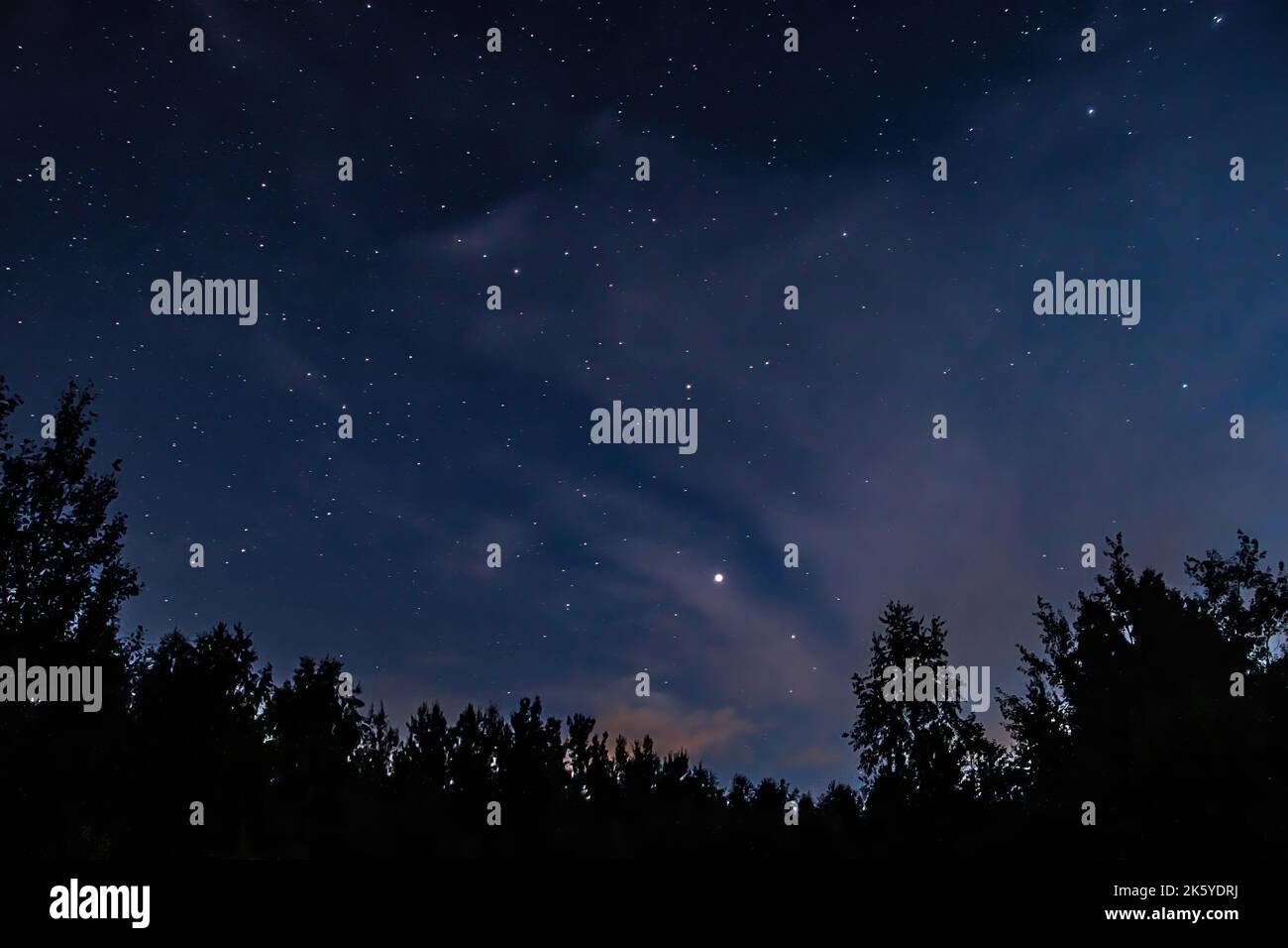 Night starry sky over forest. Tree silhouettes against backdrop of ...