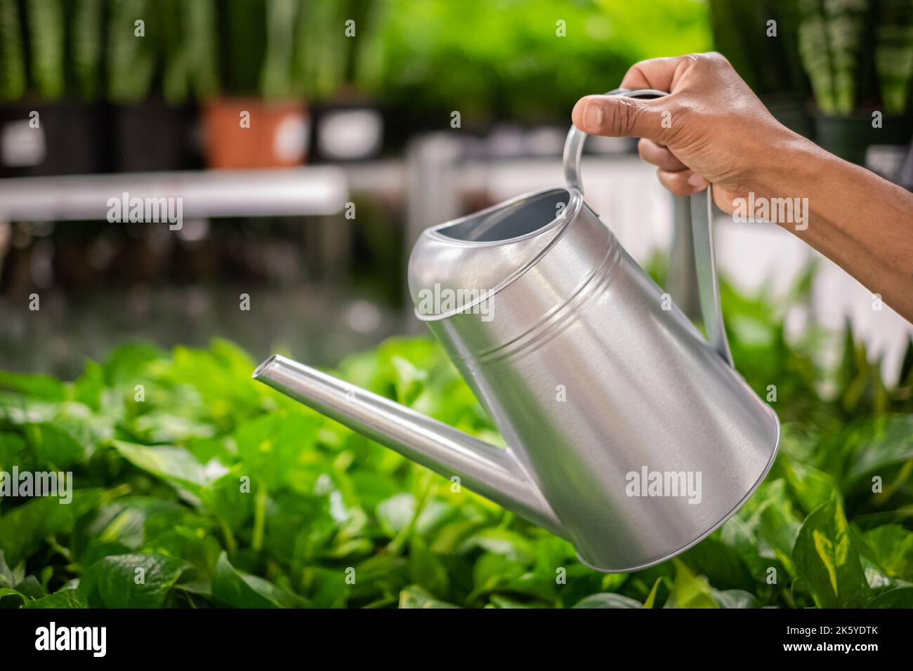 Bucket of water hand hi-res stock photography and images - Alamy