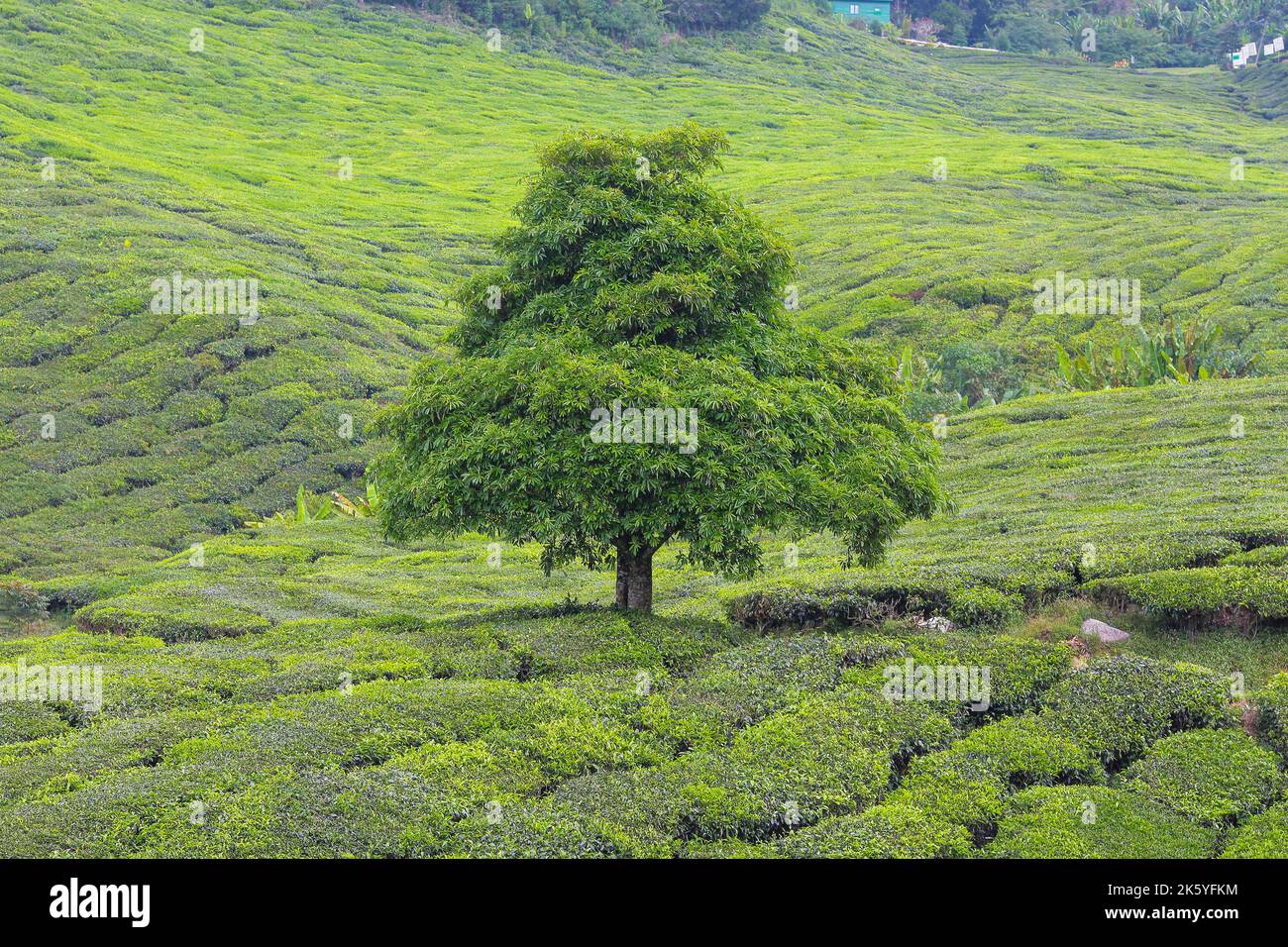 Lonely tourism hi-res stock photography and images - Alamy