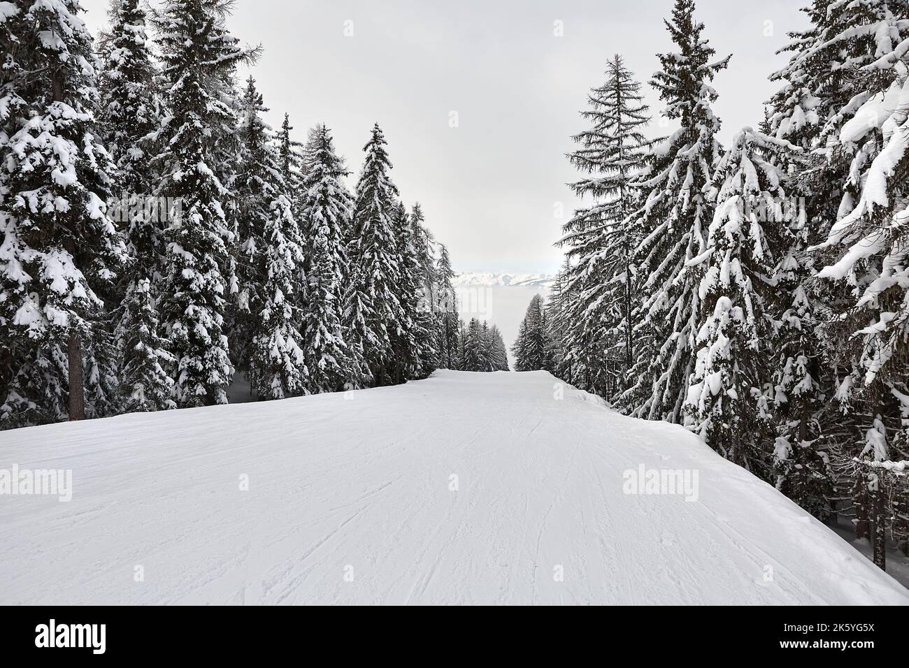 Winter Snowy Mountain Road Landscape Stock Photo - Alamy