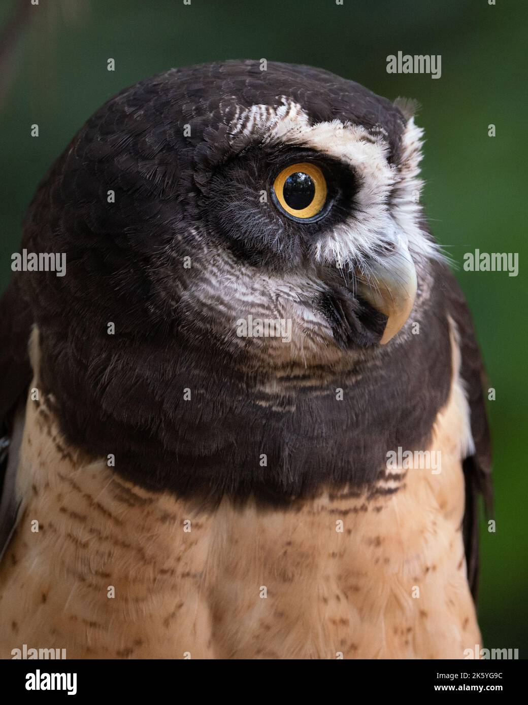 Landscape orientation hi-res stock photography and images - Alamy