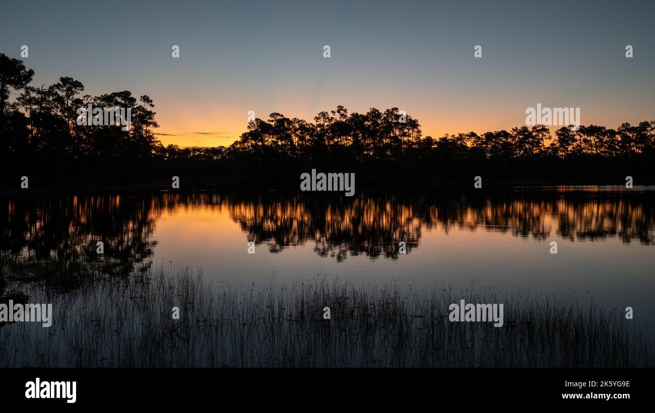 Everglades twilight scene hi-res stock photography and images - Alamy