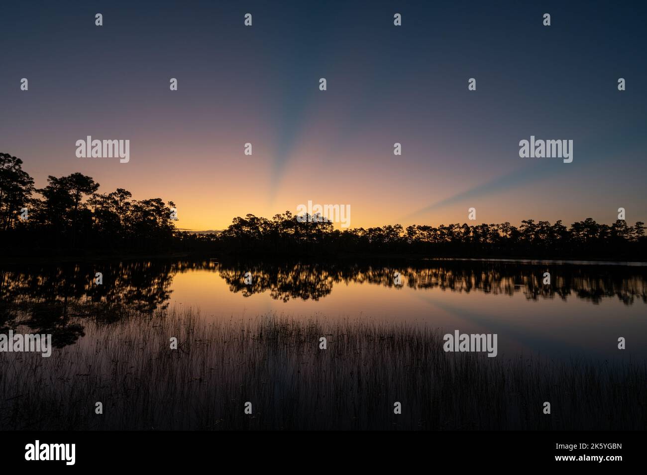 Sun rays over Long Pine Key in Everglades National Park, Florida in ...