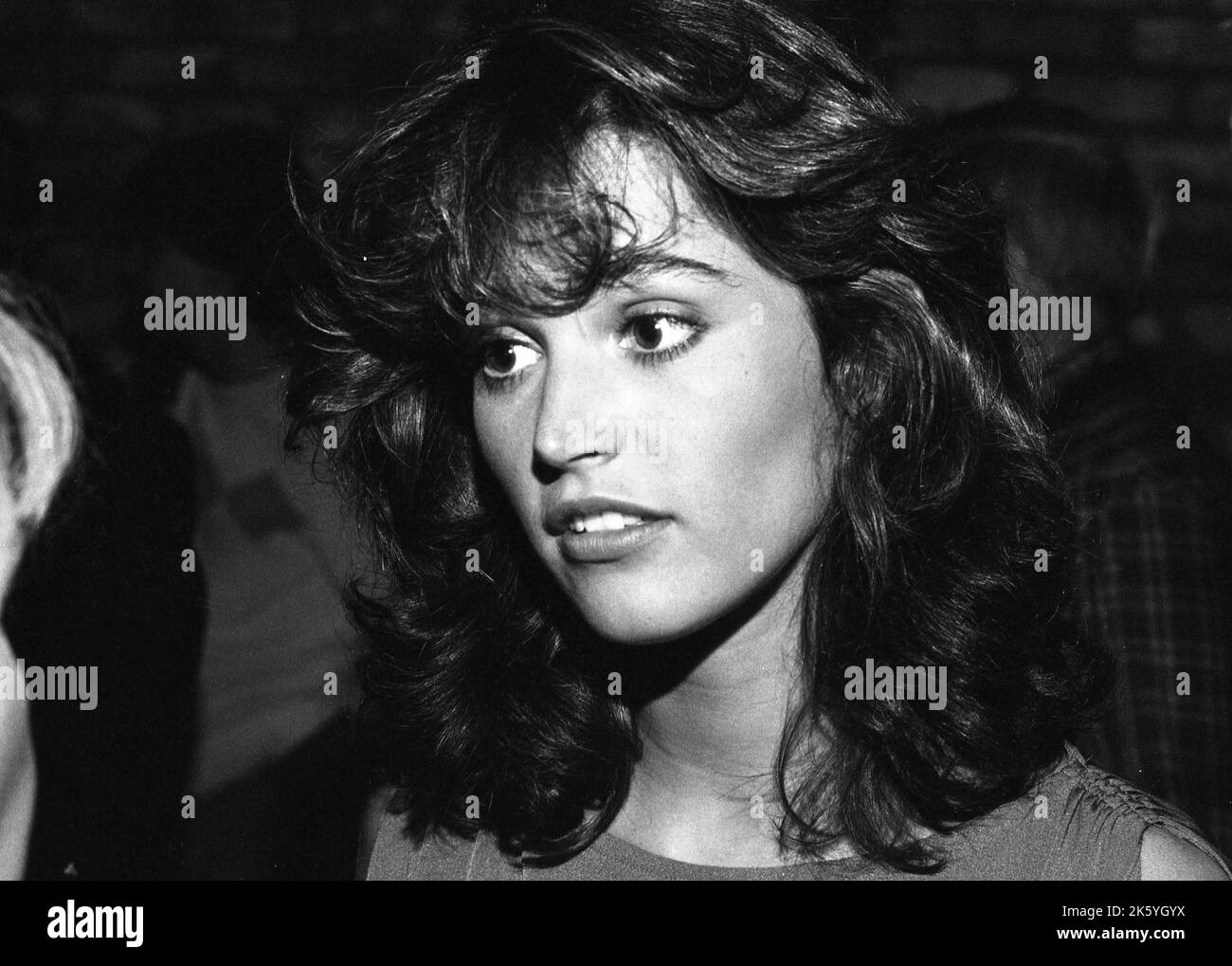 Kim Delaney at the Family Feud All-Star prime time special cocktail ...