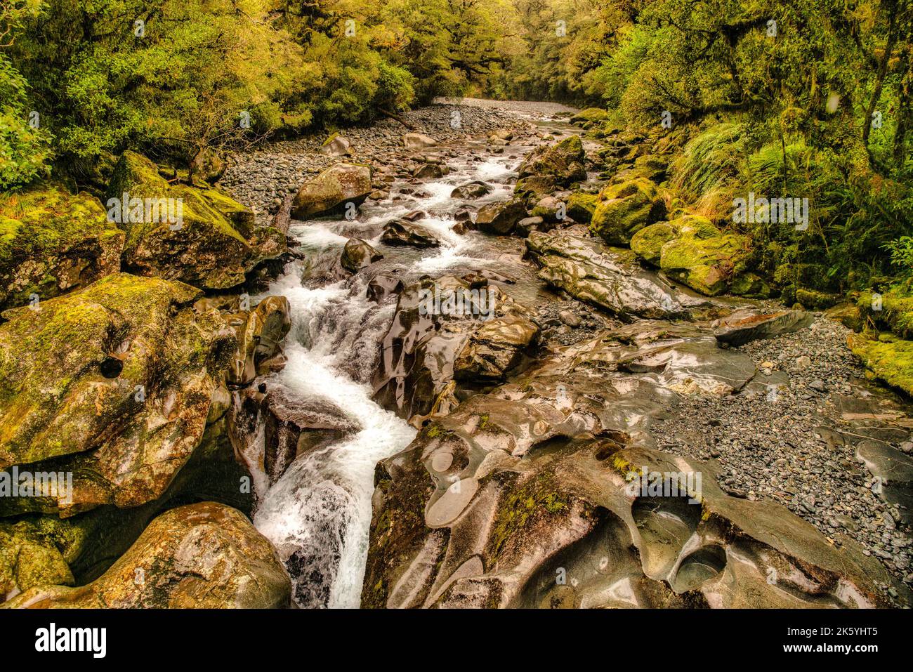 Two bridges over the Cleddau River offer dramatic views of a series of ...