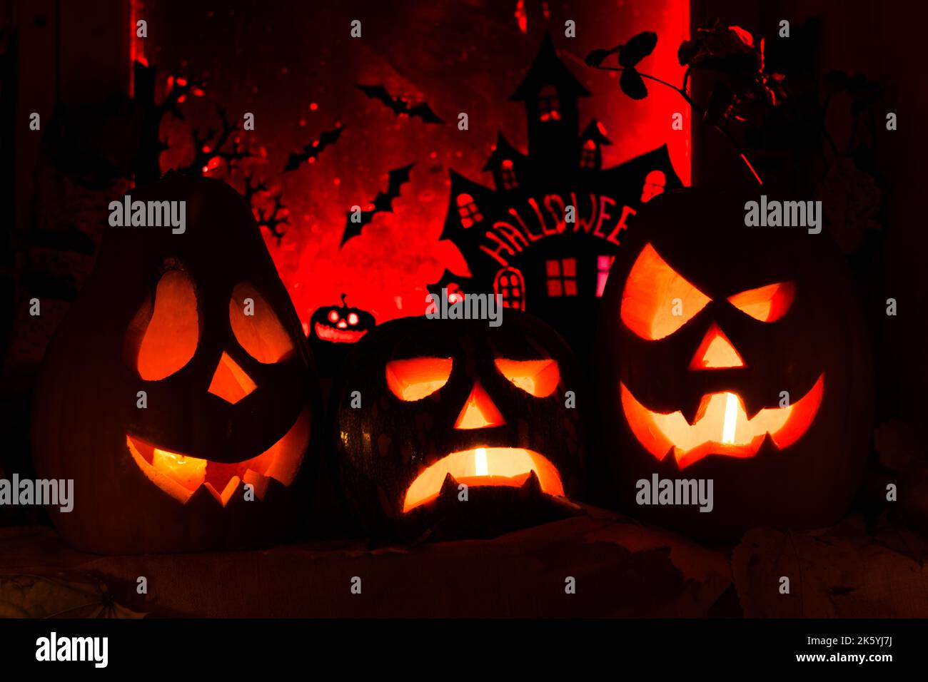 How To Make Halloween Pumpkins Into Jack O Lanterns. Perfect Halloween ...