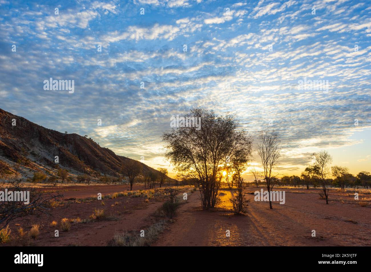 Stunning sunset with mackerel sky over the Arookara Range, Simpson ...