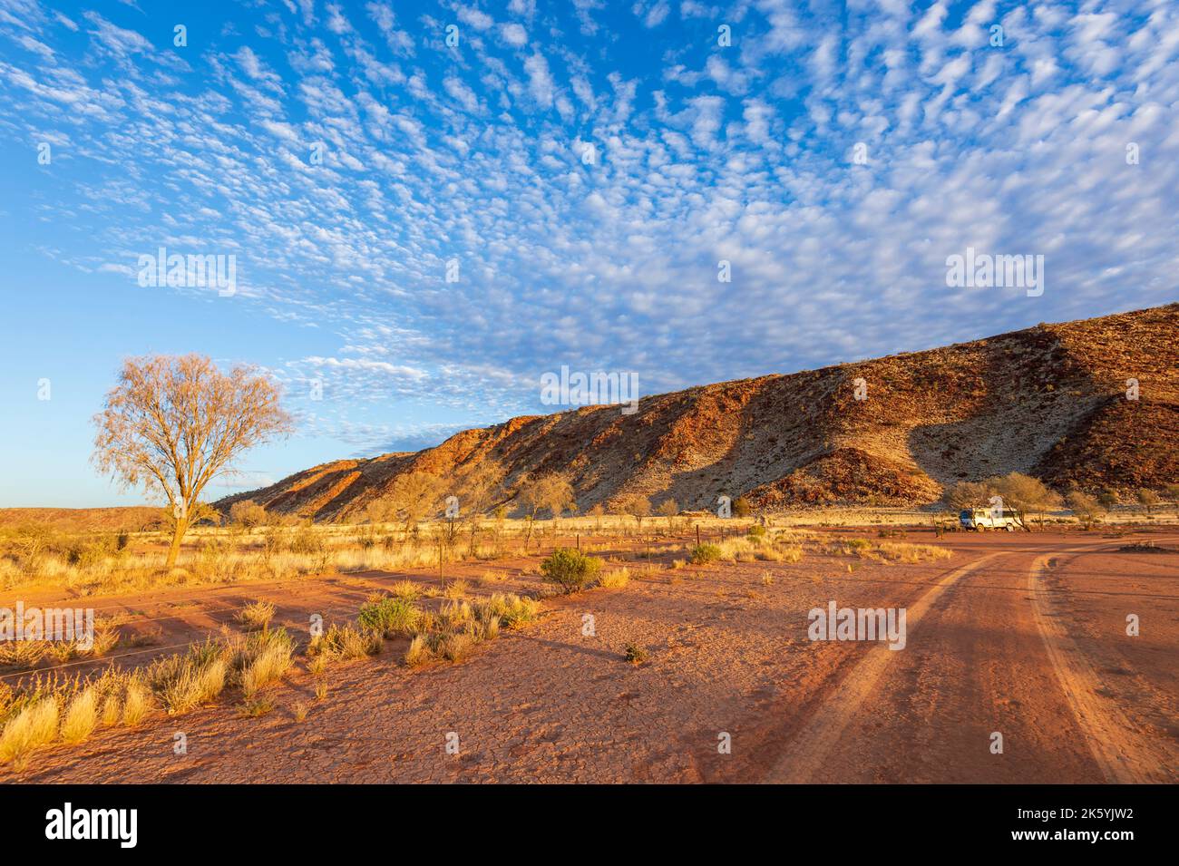 Golden evening light with mackerel sky over the Arookara Range, Simpson ...