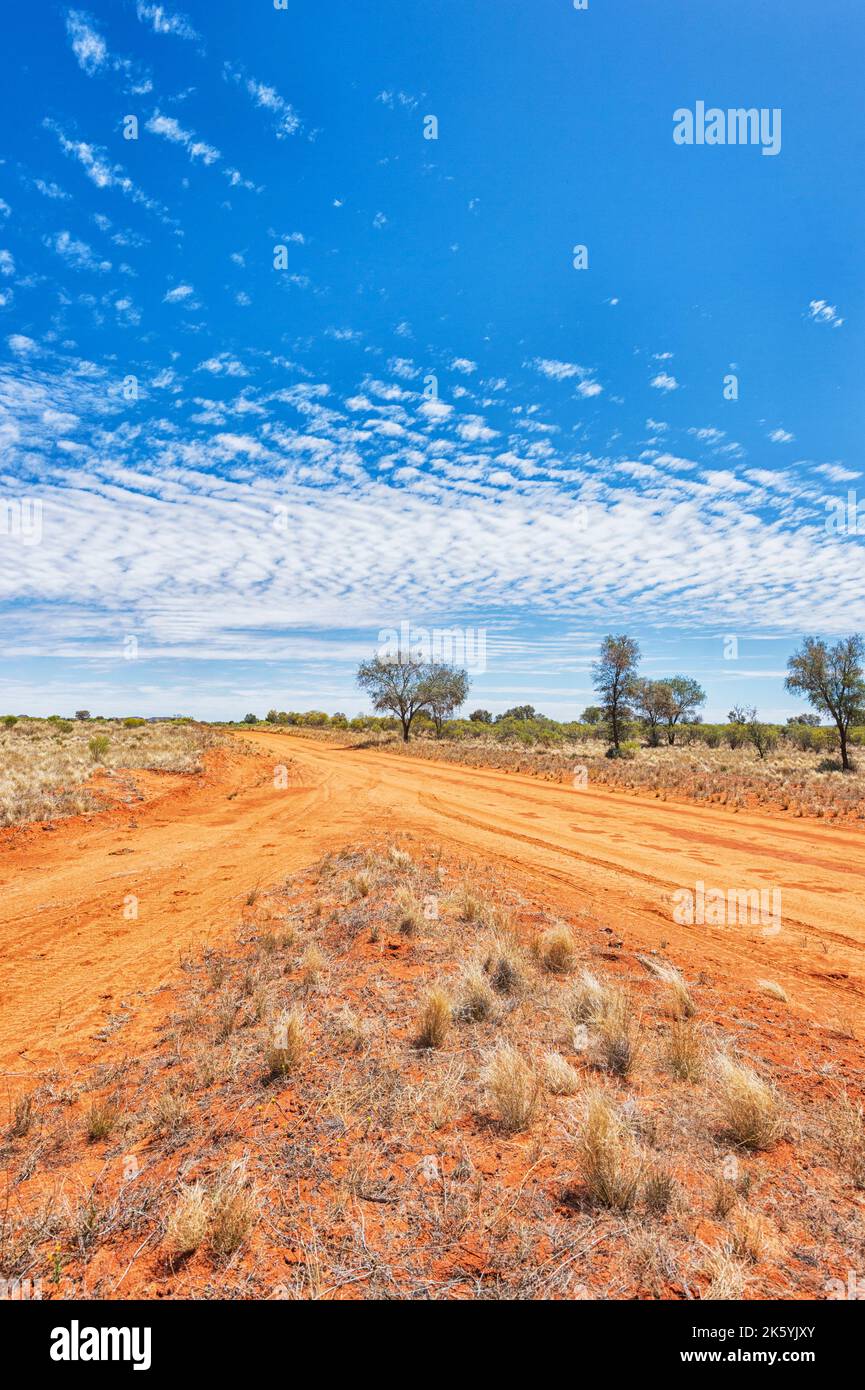 Vertical view of the Binns Track, a remote dirt road on the edge of the ...