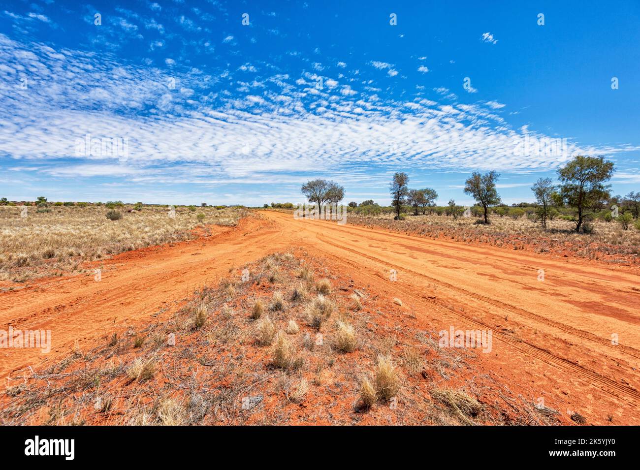 View of the Binns Track, a remote dirt road on the edge of the Simpson ...