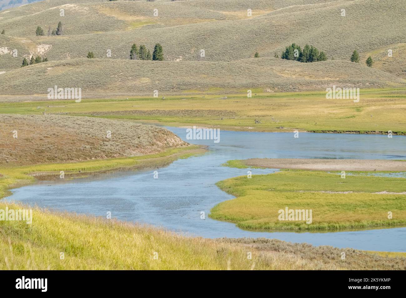 Yellowstone National Park, Wyoming, USA. Yellowstone River running ...