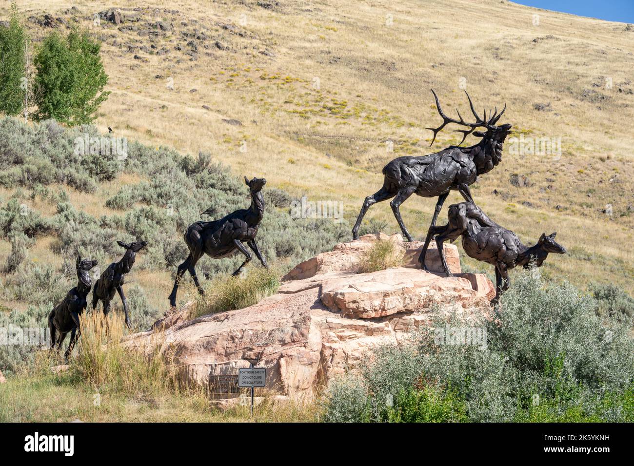 Jackson Hole, Wyoming, USA. Bronze statues of elk outside of the ...