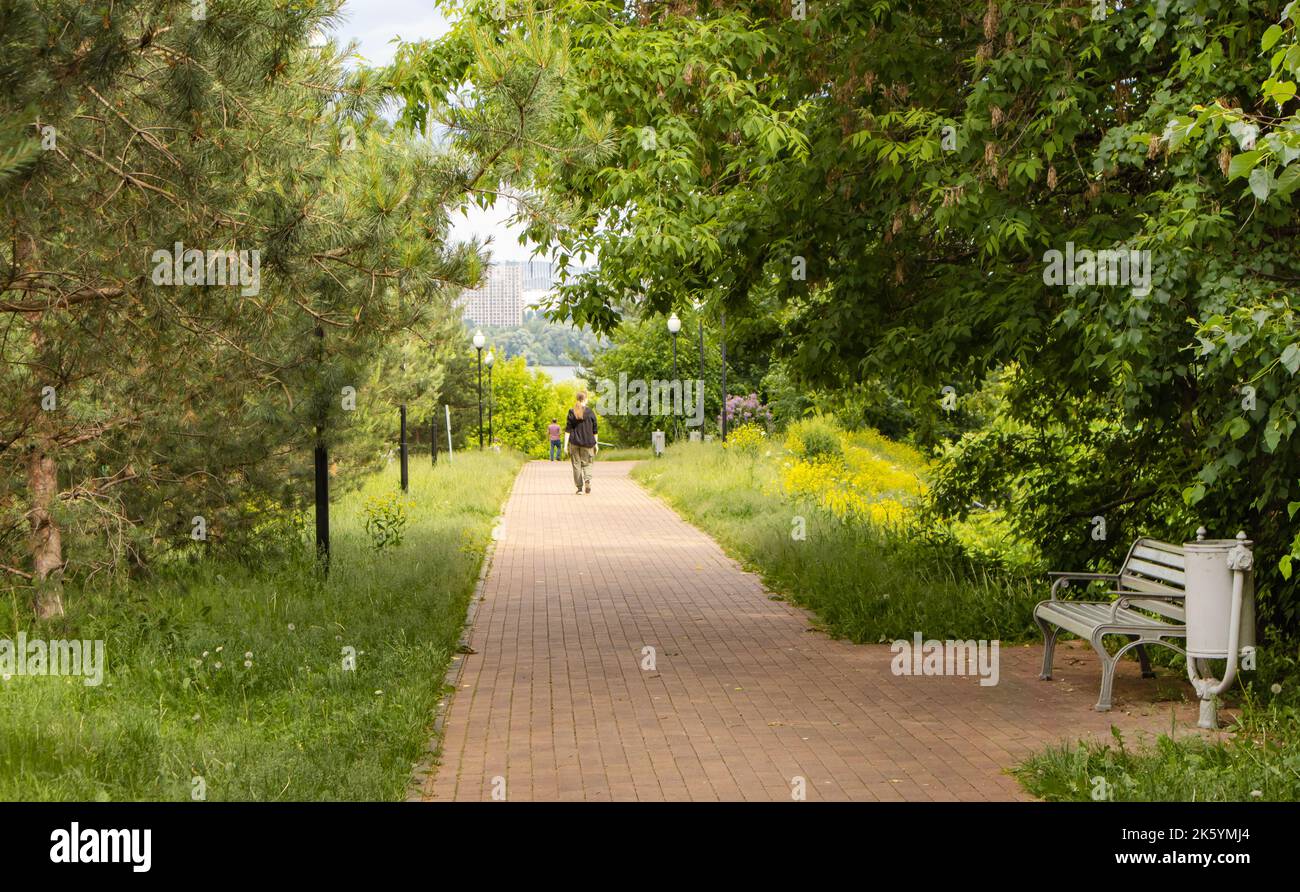 A path for walking in a city park with sunlight and shadows. Silhouette ...