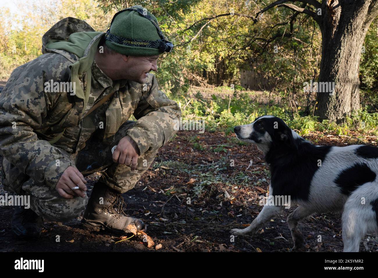 Ukrainian soldier seen playing with a stray dog they named 'Jim Beam ...