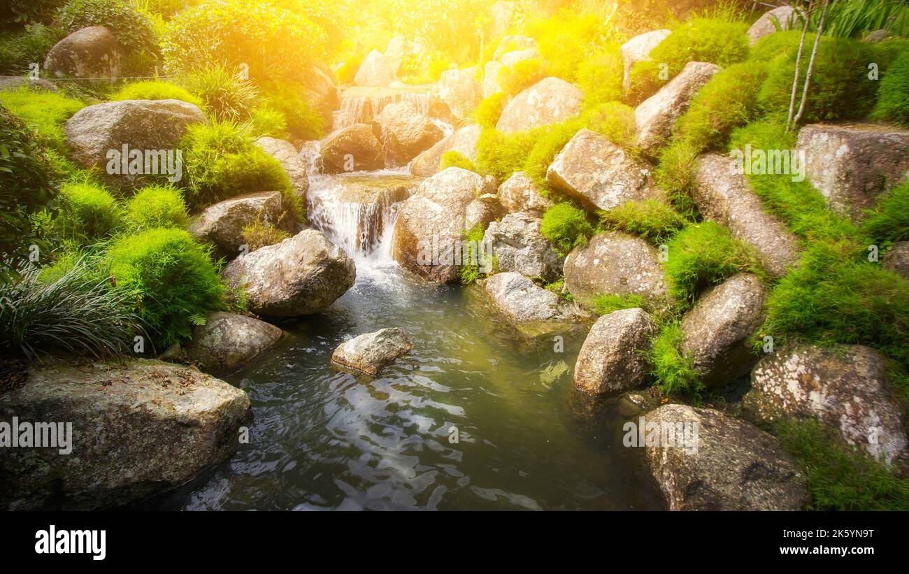 Landscape of small waterfall in the jungle with green mossy Stock Photo ...