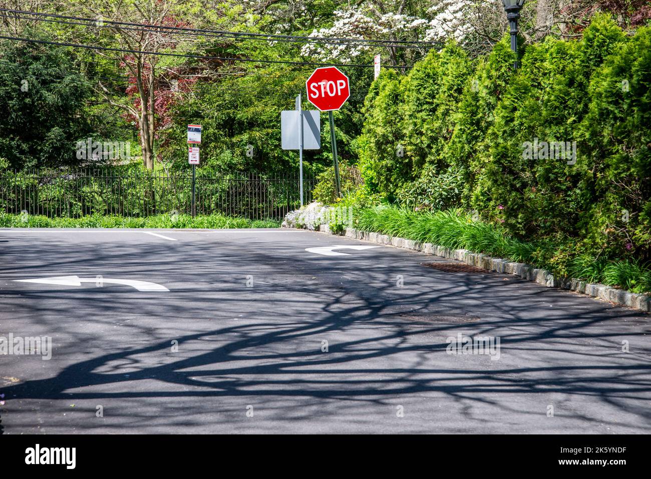 Road signs in the city Stock Photo - Alamy