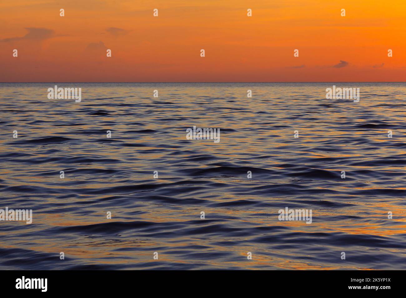 Water ripple on the sea during golden sunset Stock Photo - Alamy