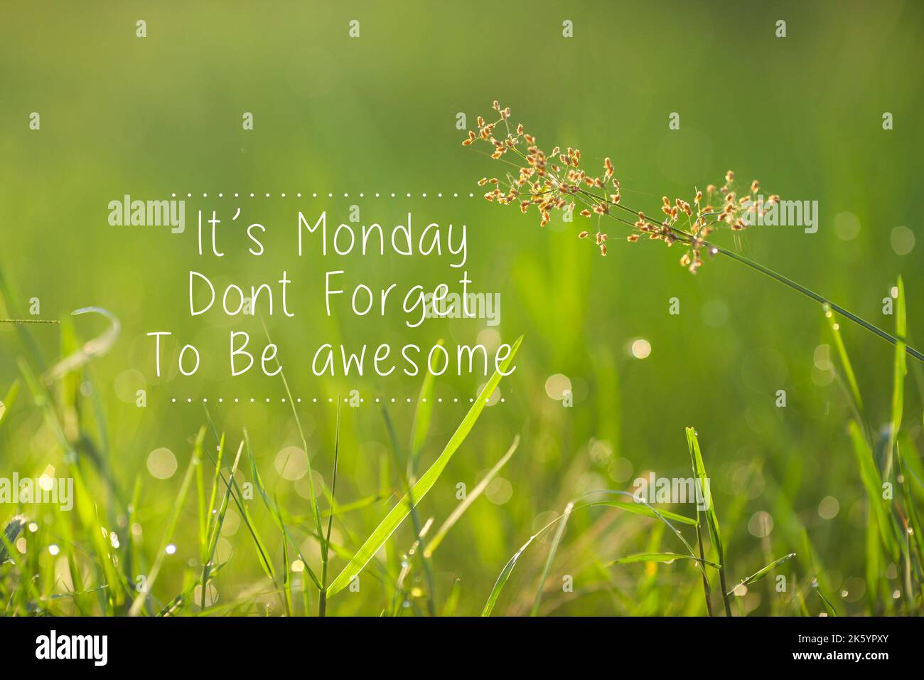 Monday inspirational greeting - Its Monday, don't forget to be awesome ...
