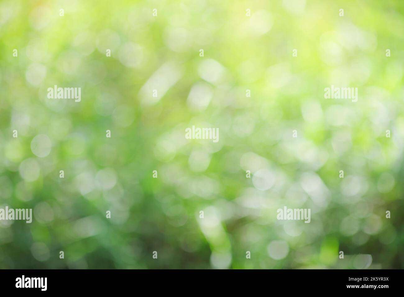 Abstract green blur background. Nature bokeh Stock Photo - Alamy