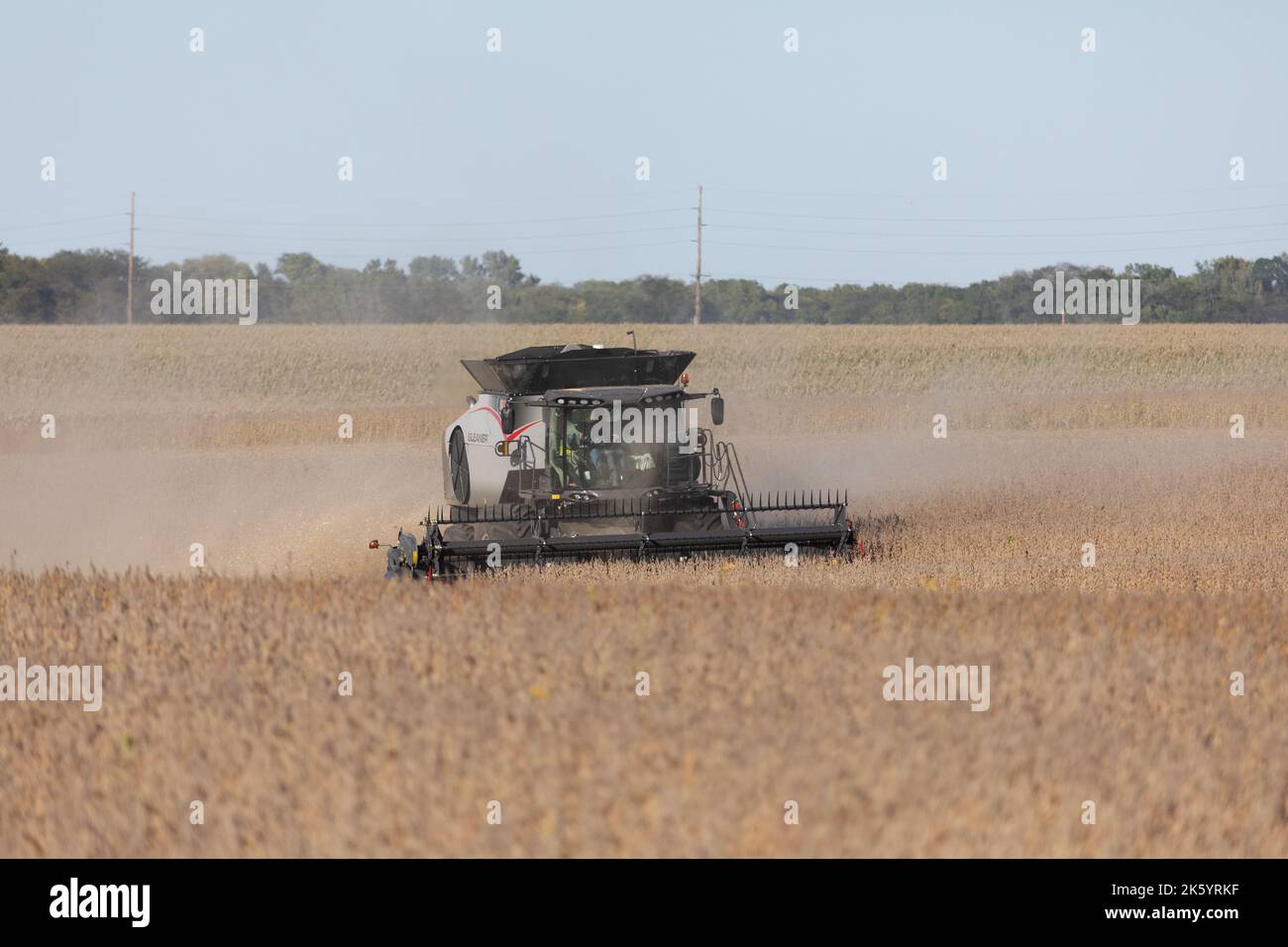 Harvesting soybeans along Route 61 between Mediapolis and Wapello, Iowa ...