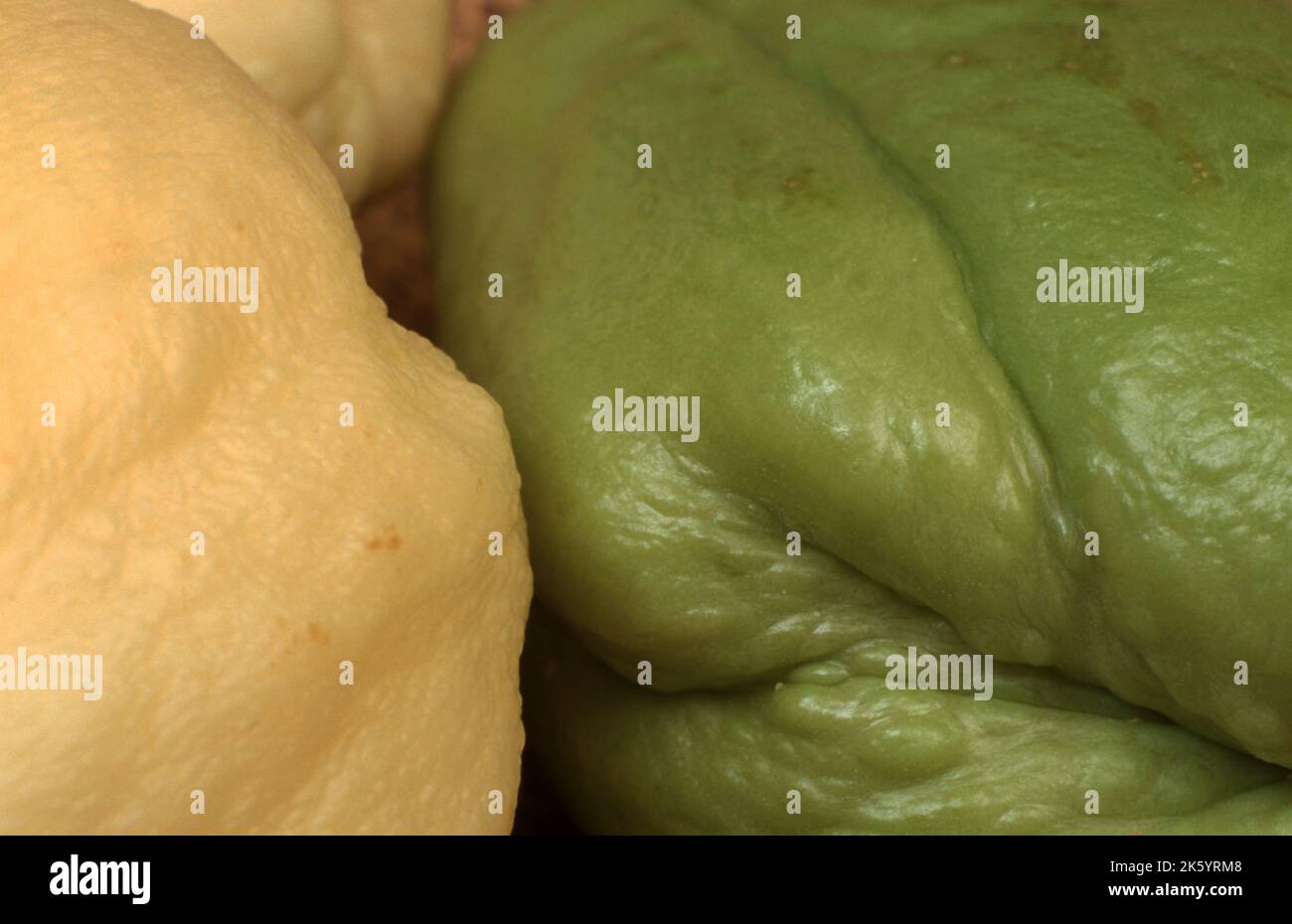 CHOKOS (SECHIUM EDULE) WHITE AND GREEN FORMS Stock Photo - Alamy