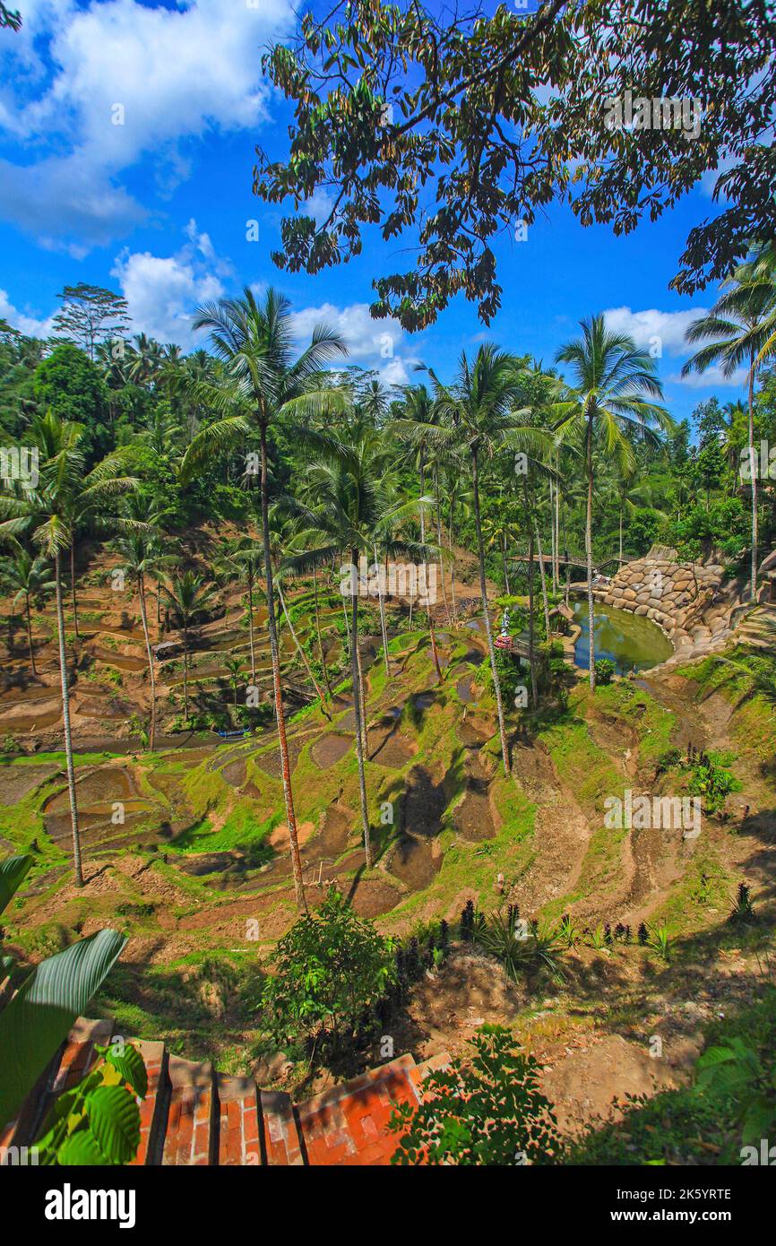 Tarrace hi-res stock photography and images - Alamy