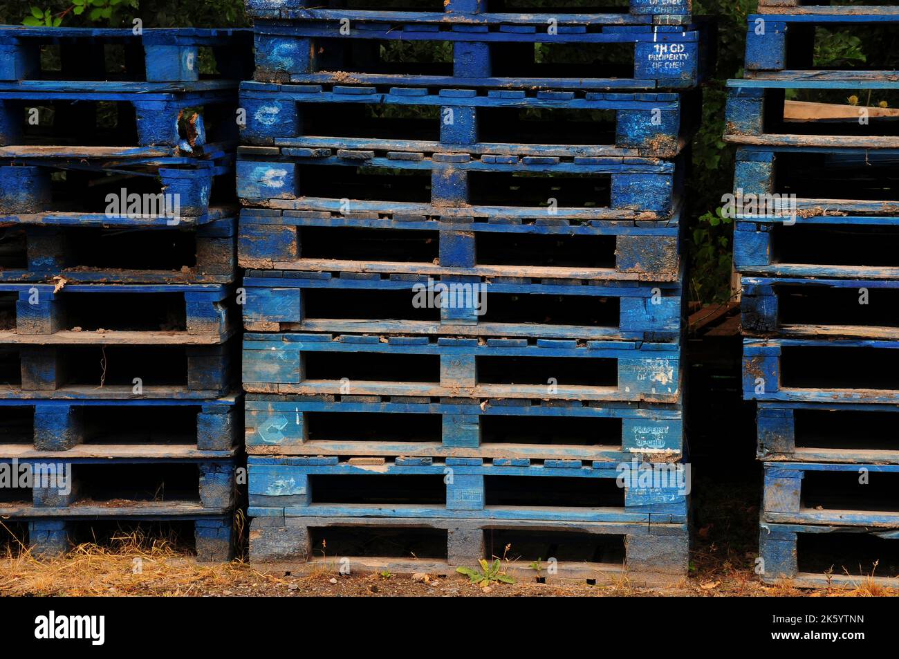 Three stacks of blue wooden pallets Stock Photo - Alamy
