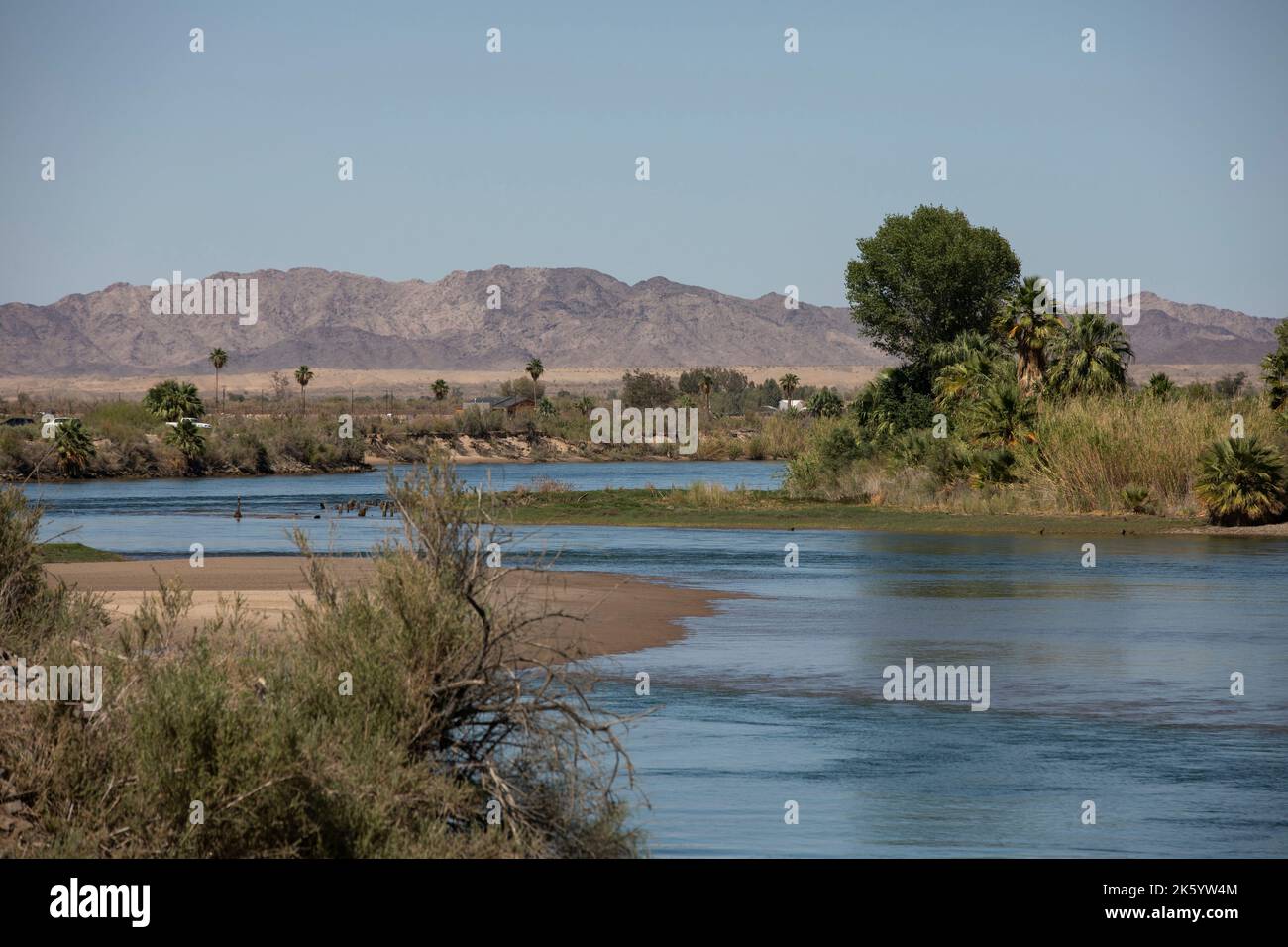 A drought stricken Colorado River flows between California and Arizona ...